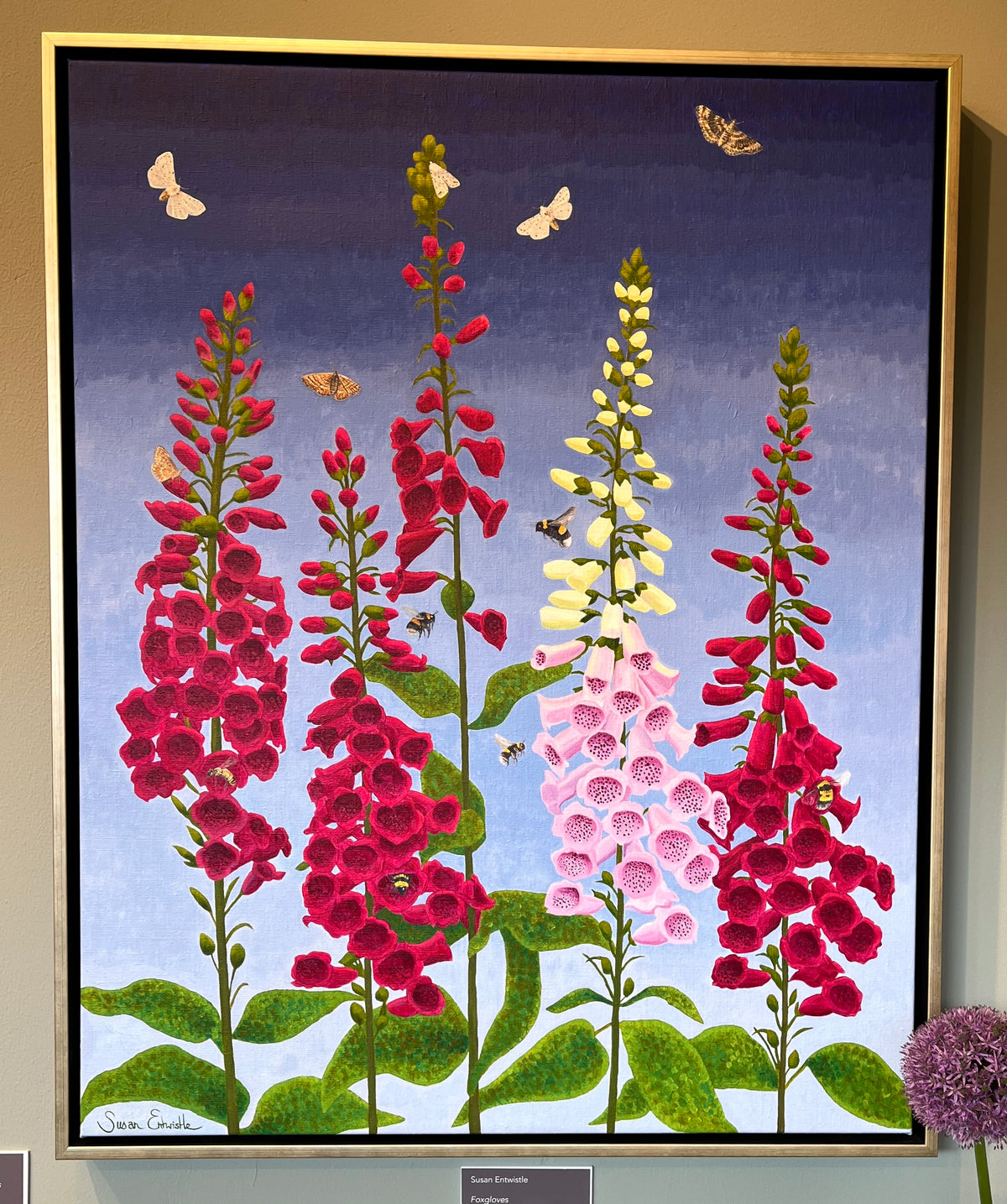Original Paintings - Susan Entwistle