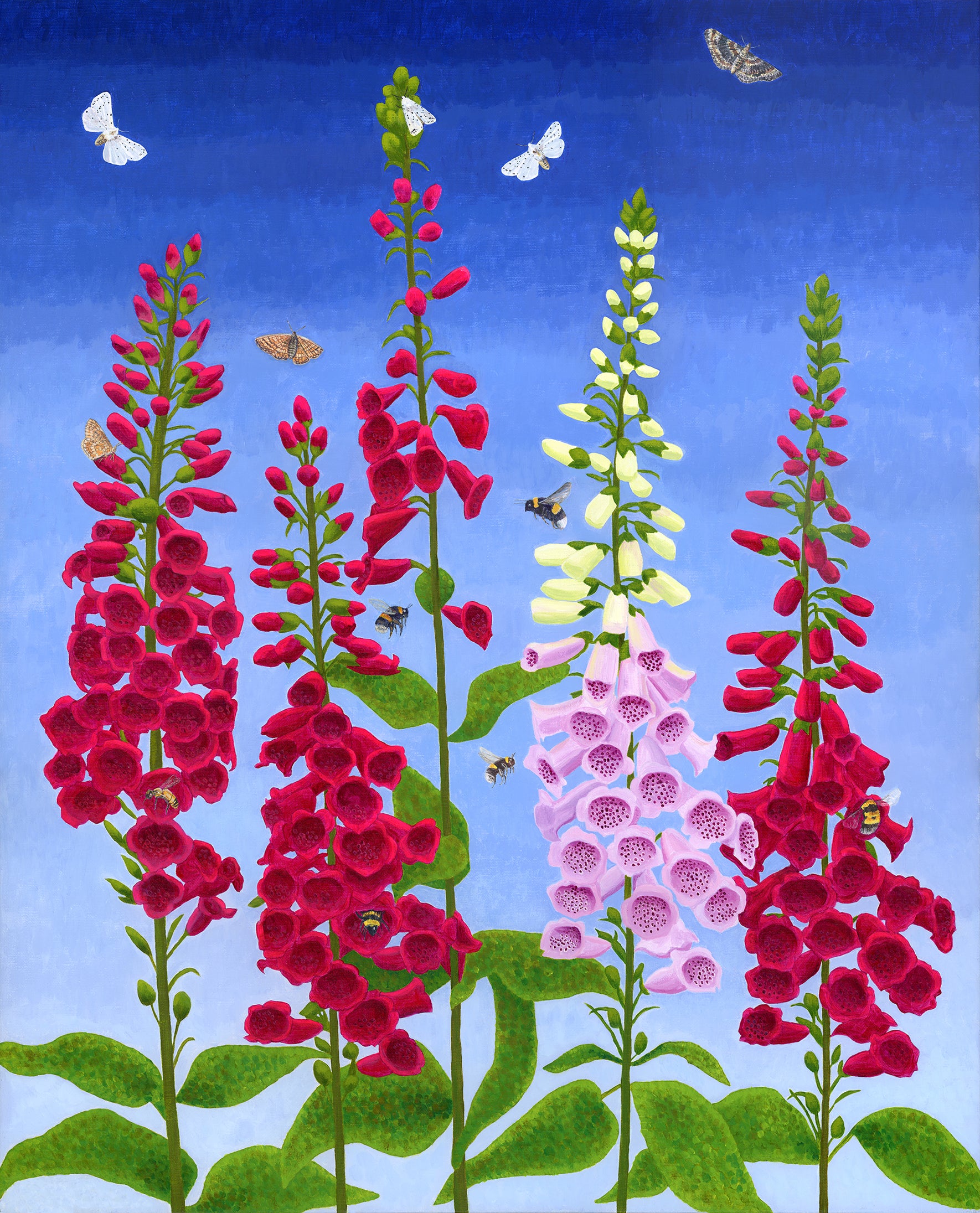 Original Paintings - Susan Entwistle