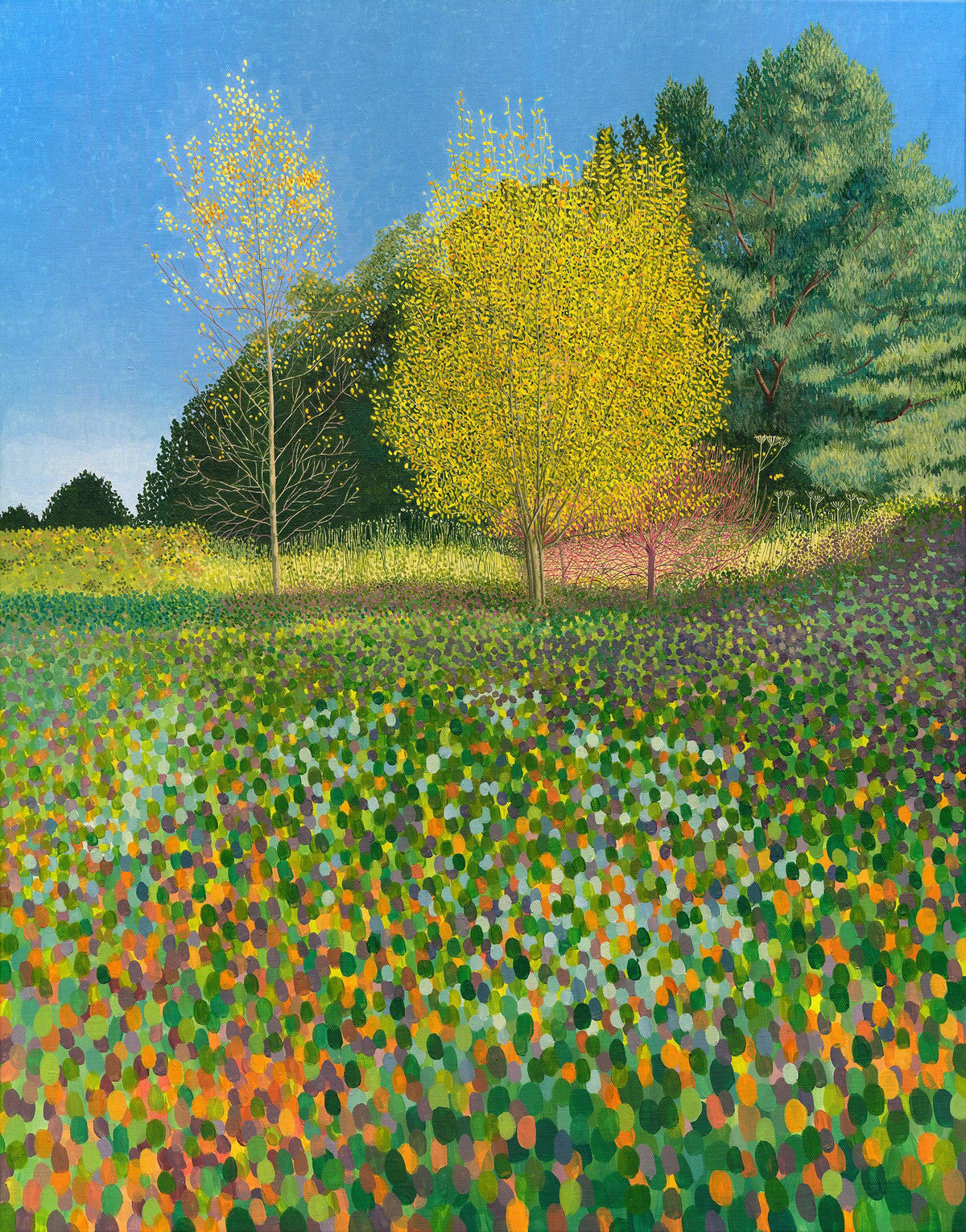 Original Paintings - Susan Entwistle