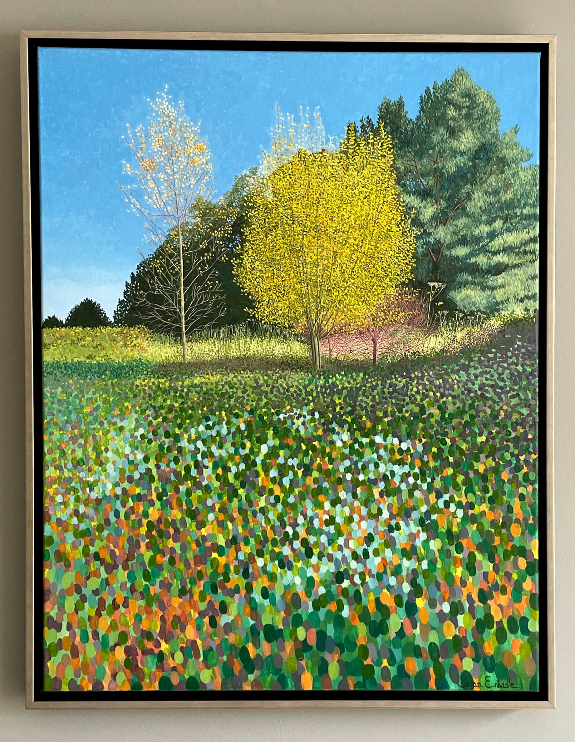 Original Paintings - Susan Entwistle