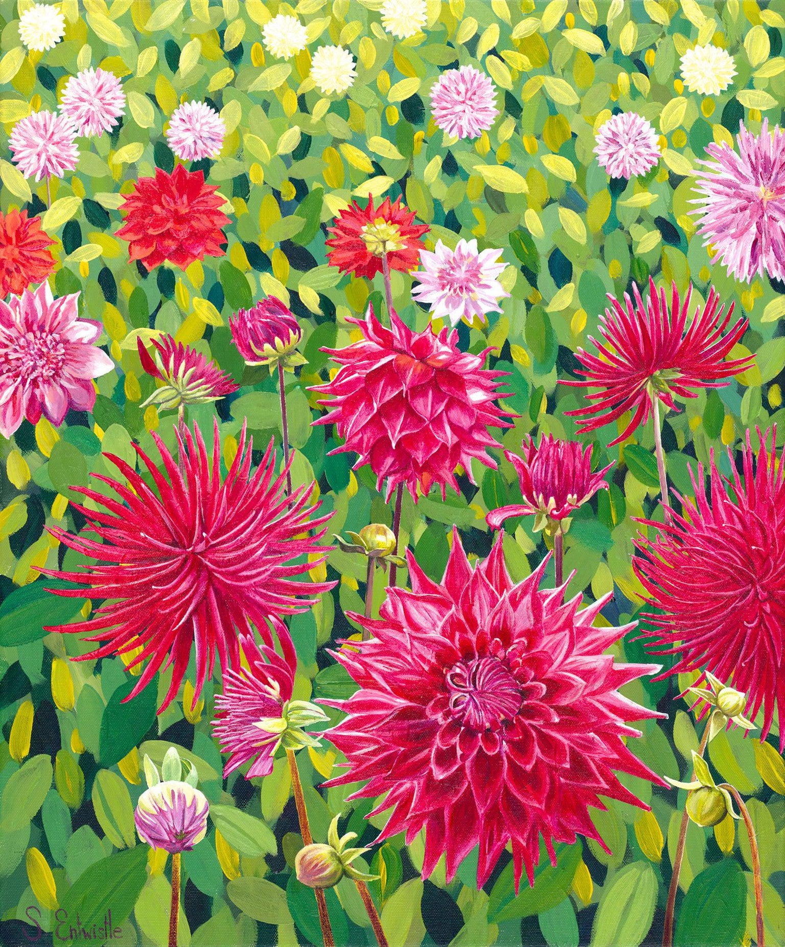 Original Paintings - Susan Entwistle