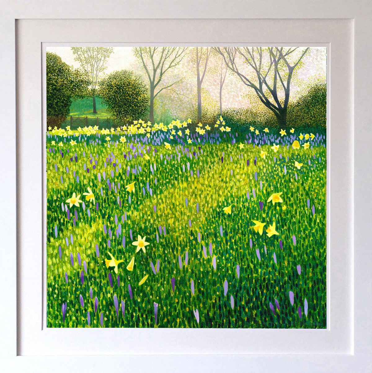Crocus & Daffodils Signed Edition Art Print– Susan Entwistle