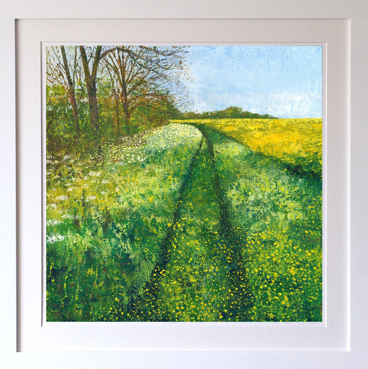 Signed Edition Art Prints– Page 2 – Susan Entwistle