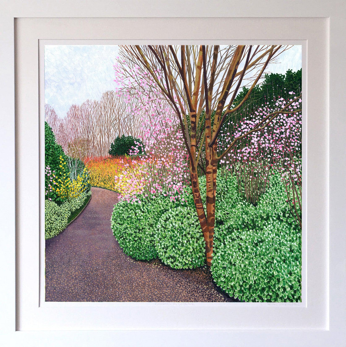 Signed Edition Art Prints– Page 2 – Susan Entwistle