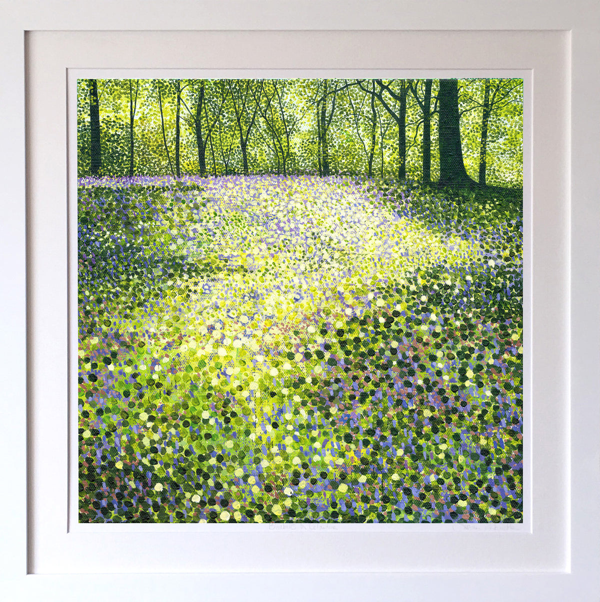 Signed Edition Art Prints– Page 2 – Susan Entwistle